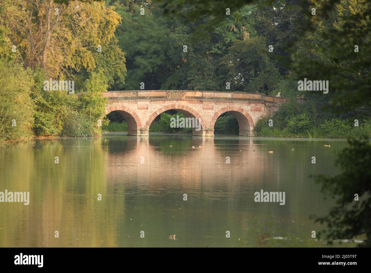 Nicebusch hi-res stock photography and images - Alamy