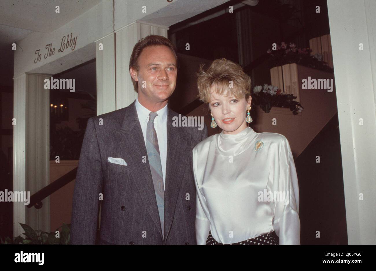 Peter rees hi-res stock photography and images - Alamy