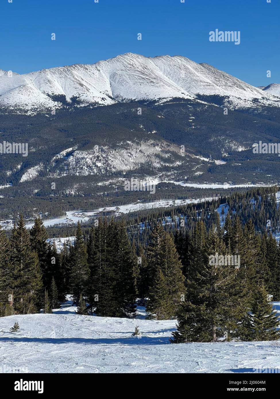 Ski bowl between Peak 8 and Peak 7 at Breckenridge Ski Resort, Colorado ...
