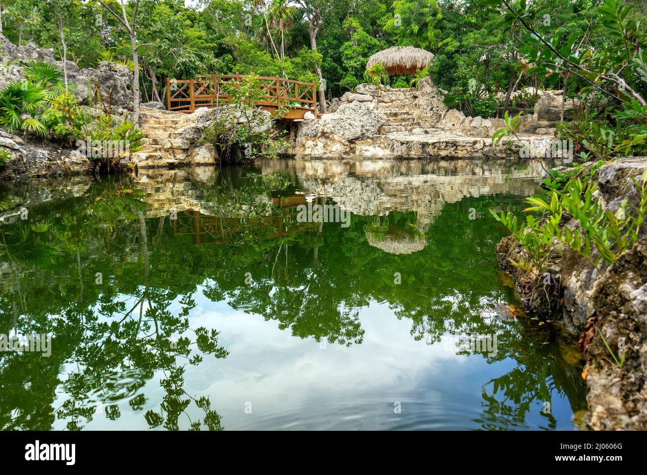 Cenote jungle riviera maya hi-res stock photography and images - Alamy