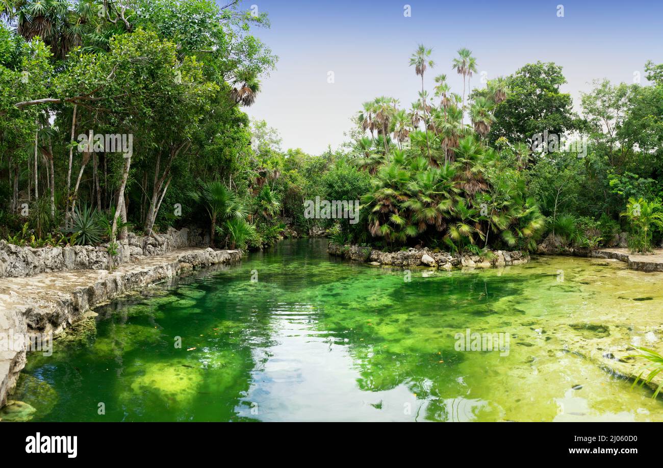 Cenote jungle riviera maya hi-res stock photography and images - Alamy