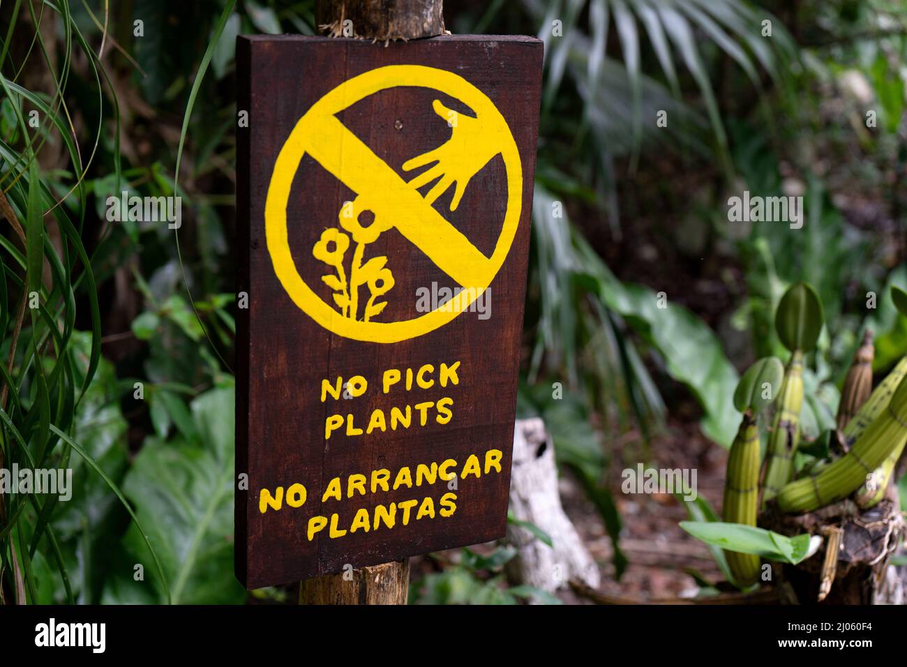 "No pick plants" sign Stock Photo - Alamy