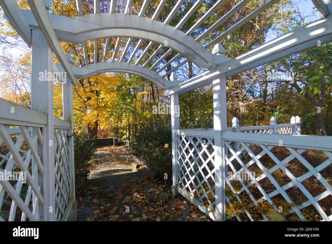 Diminishing perspective view of backyard garden with autumn leaf colour ...