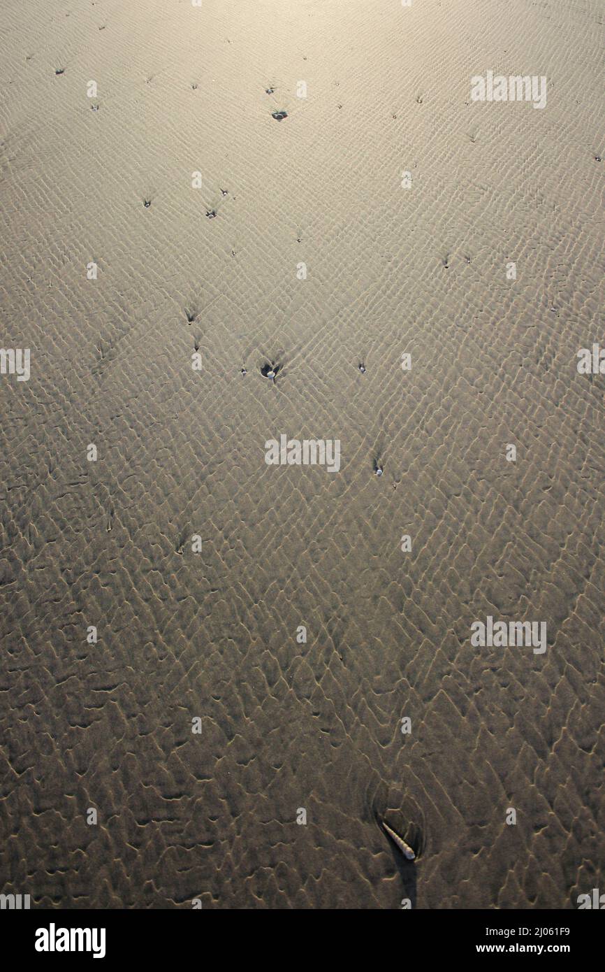 Vertical top view of beach during low tide Stock Photo - Alamy