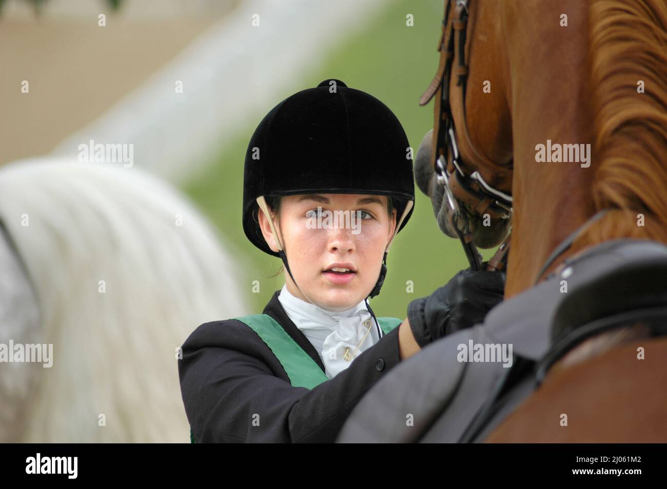 Girl riders and horses at Equestrian event Stock Photo - Alamy