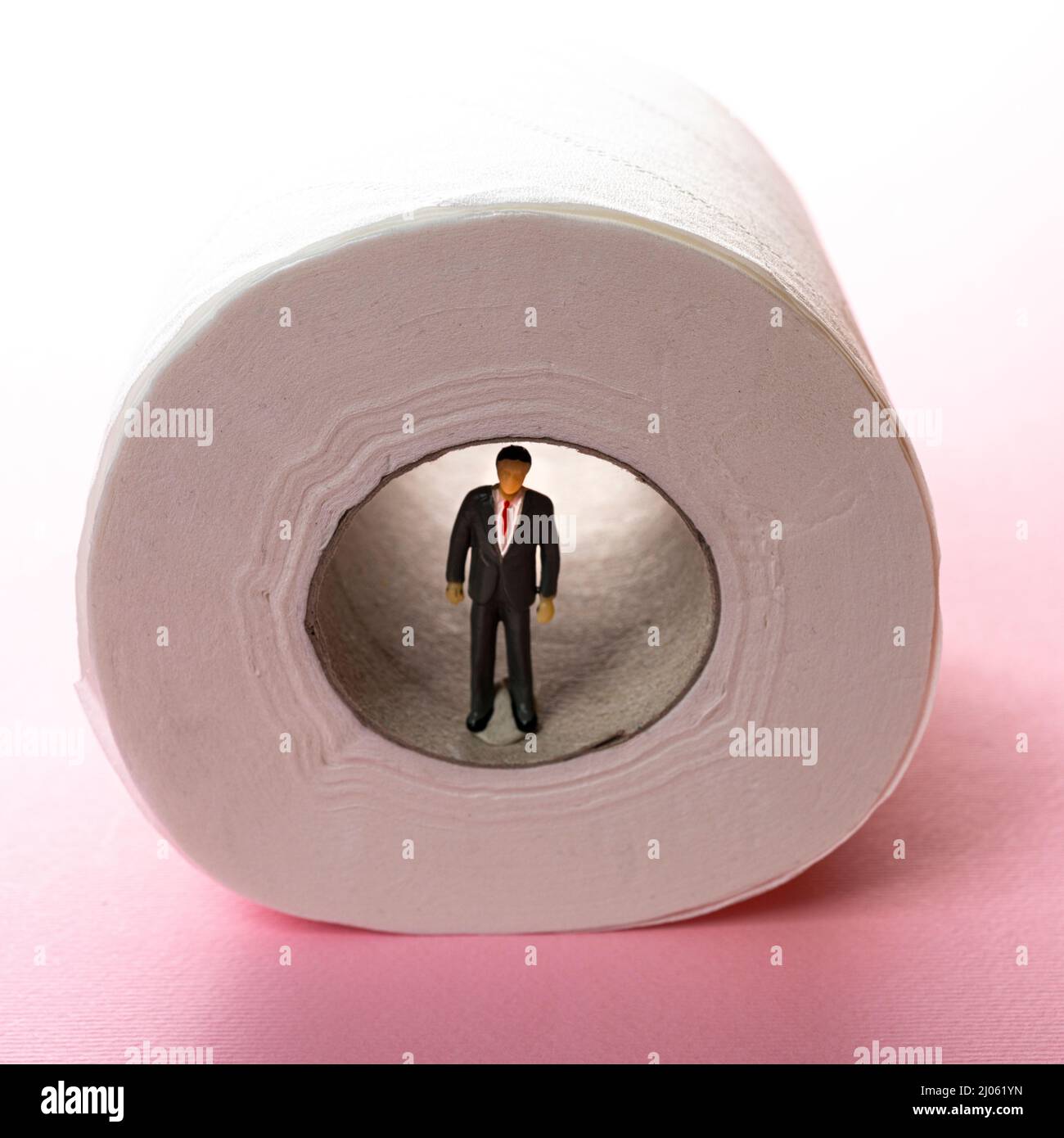 Toilet roll statue hi-res stock photography and images - Alamy