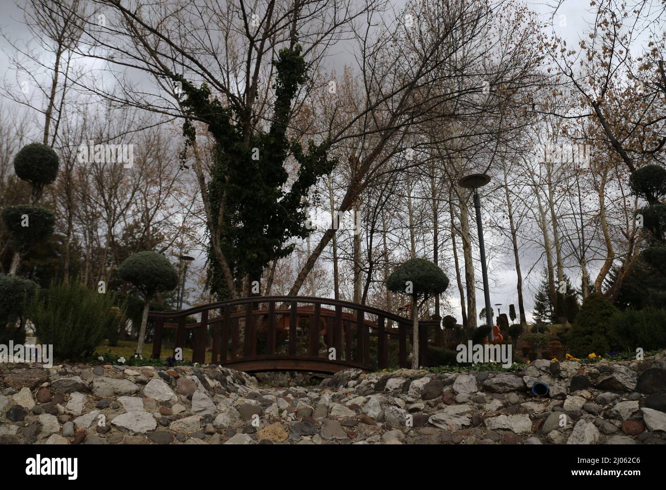 Nature Landscape Park Trees Birds Background Stock Photo - Alamy