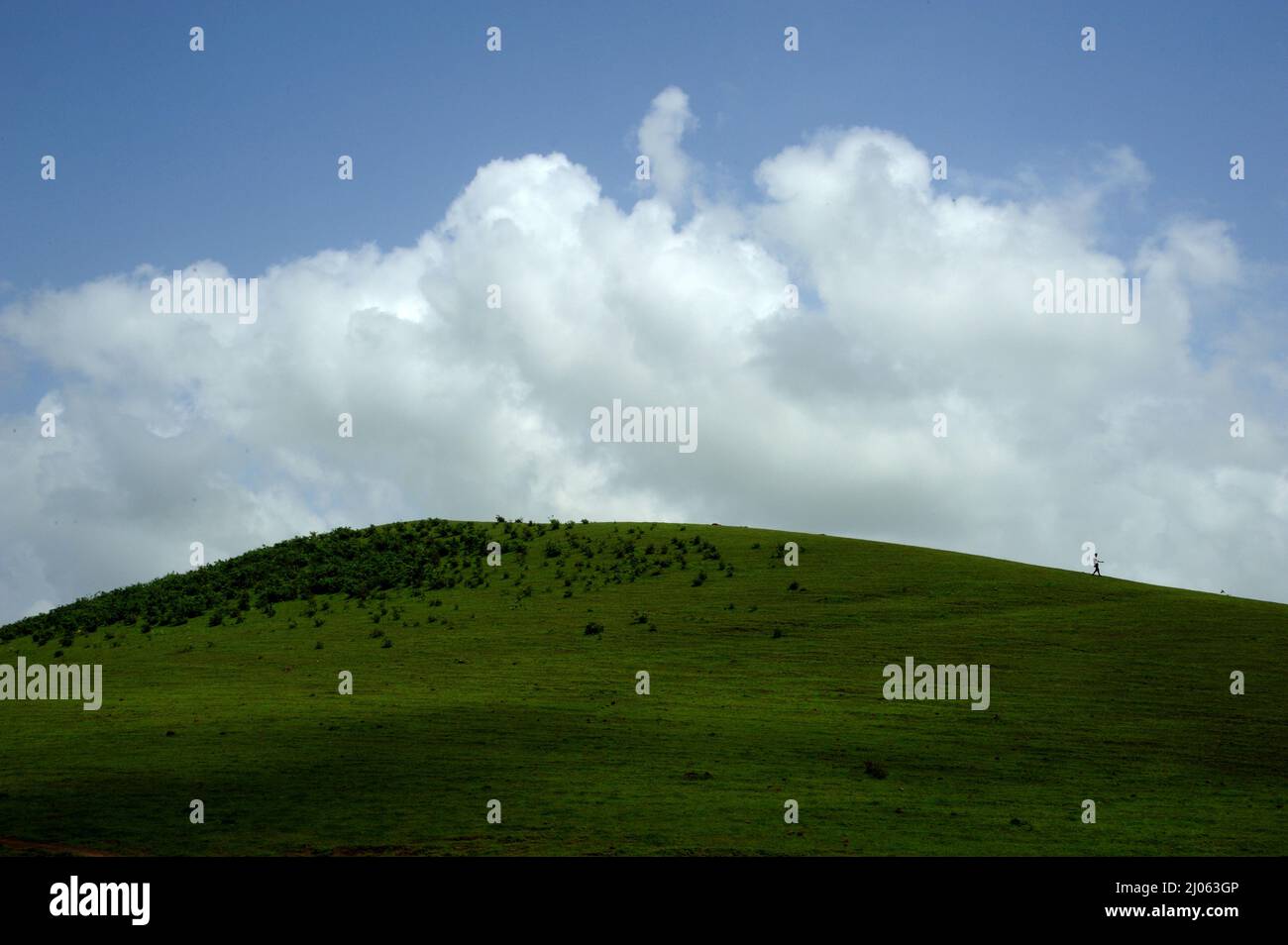 Bush tracker hi-res stock photography and images - Alamy