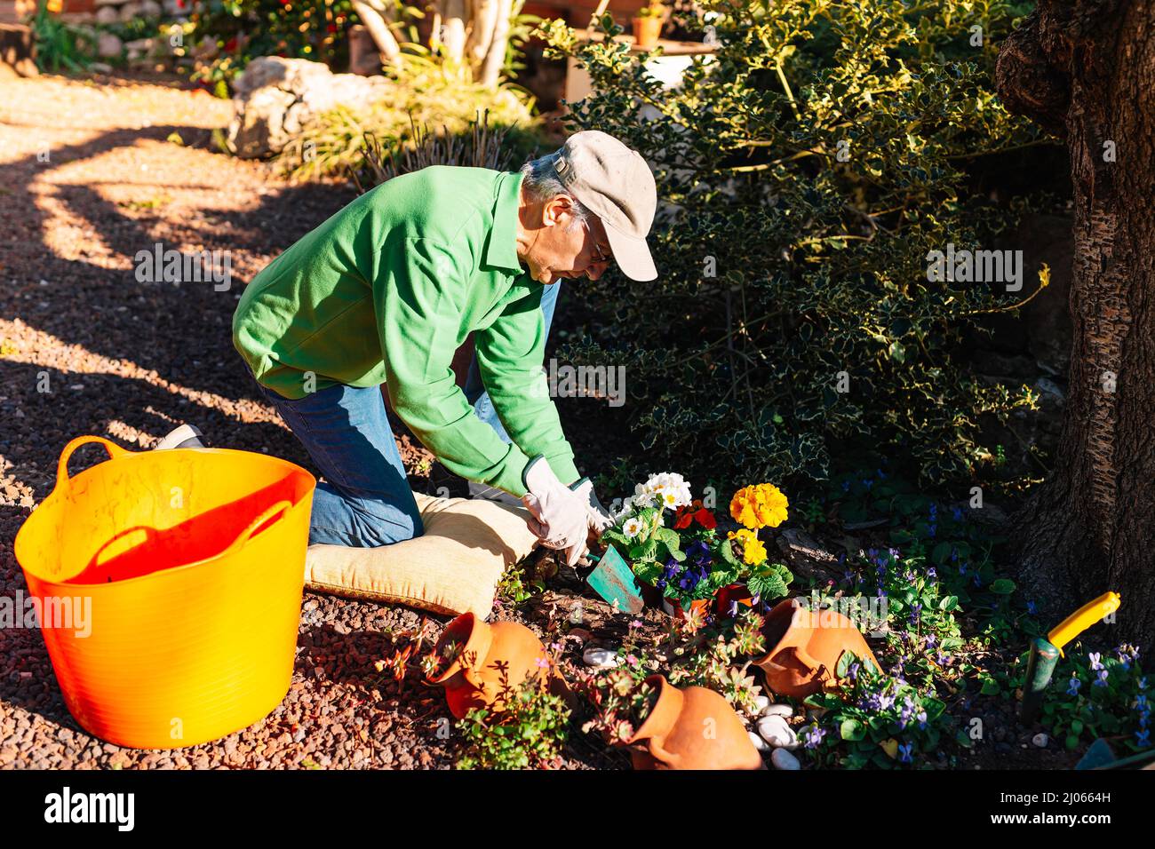 Old man planting flowers in his garden Stock Photo - Alamy