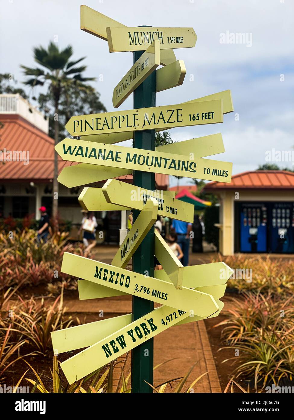 Dole plantation wahiawa hi-res stock photography and images - Alamy