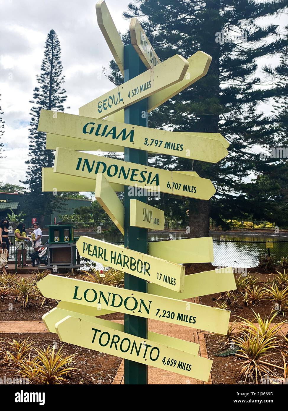 Vertical shot of directional signs to different locations at Dole ...