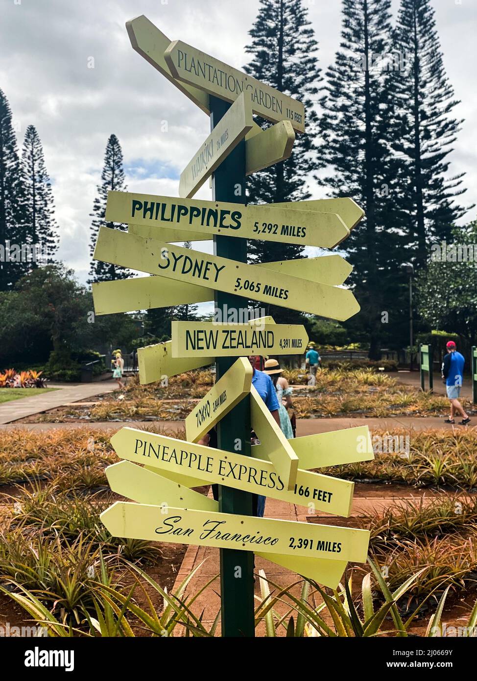 Dole plantation wahiawa hi-res stock photography and images - Alamy