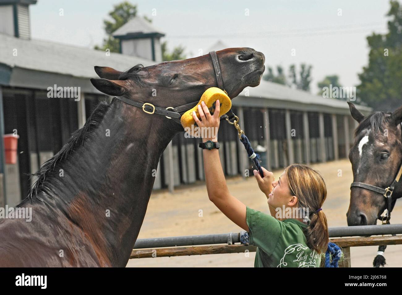 Girl riders and horses at Equestrian event Stock Photo - Alamy