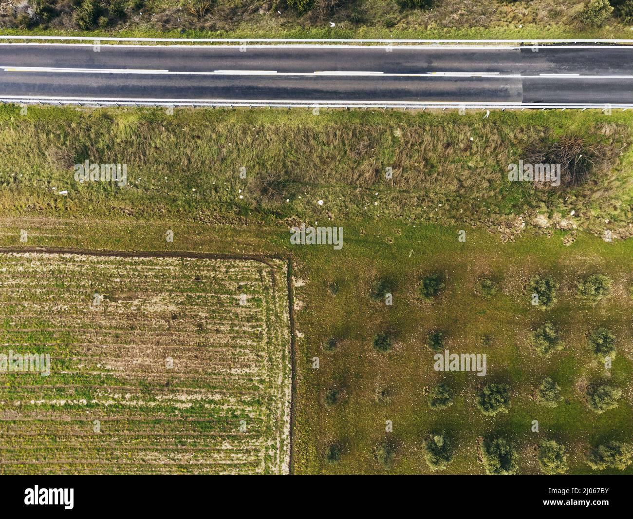 Top view of a road with olive fields near the road Stock Photo - Alamy