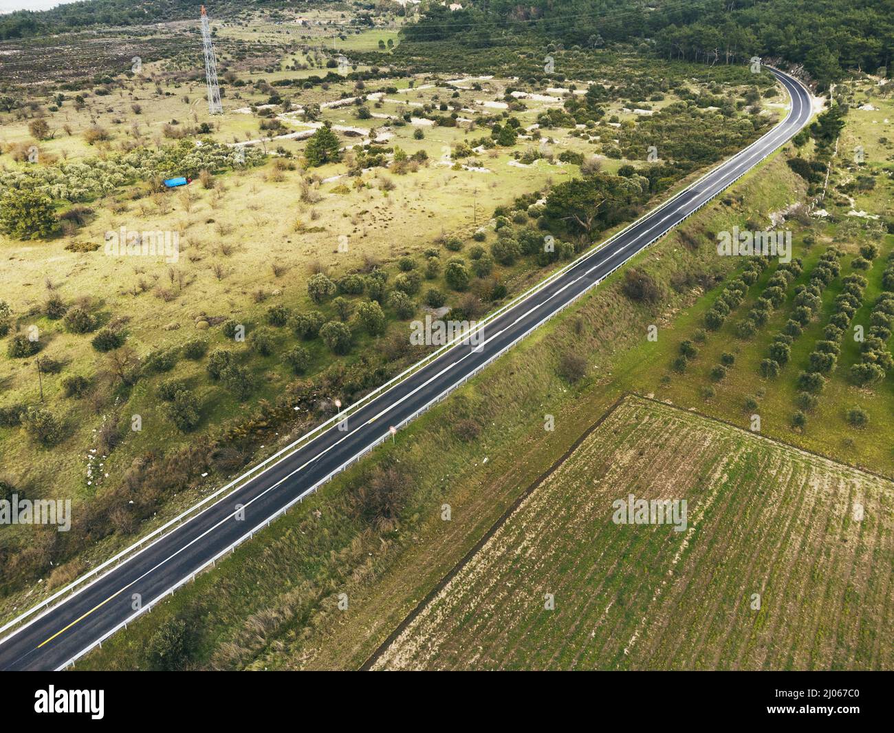 Aerial diagonal view of a country road with some meadow and olive ...