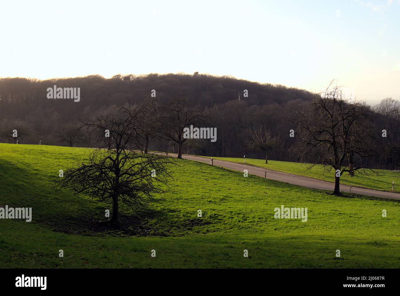 Königstuhl in Heidelberg Stock Photo - Alamy