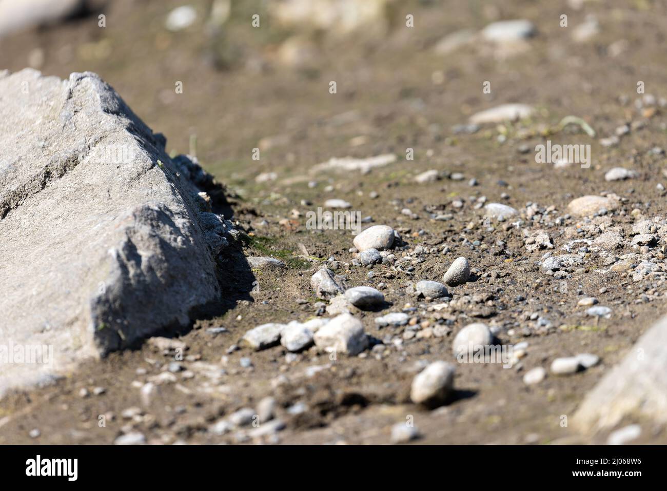details of small pebbles and sand between larger rocks Stock Photo - Alamy