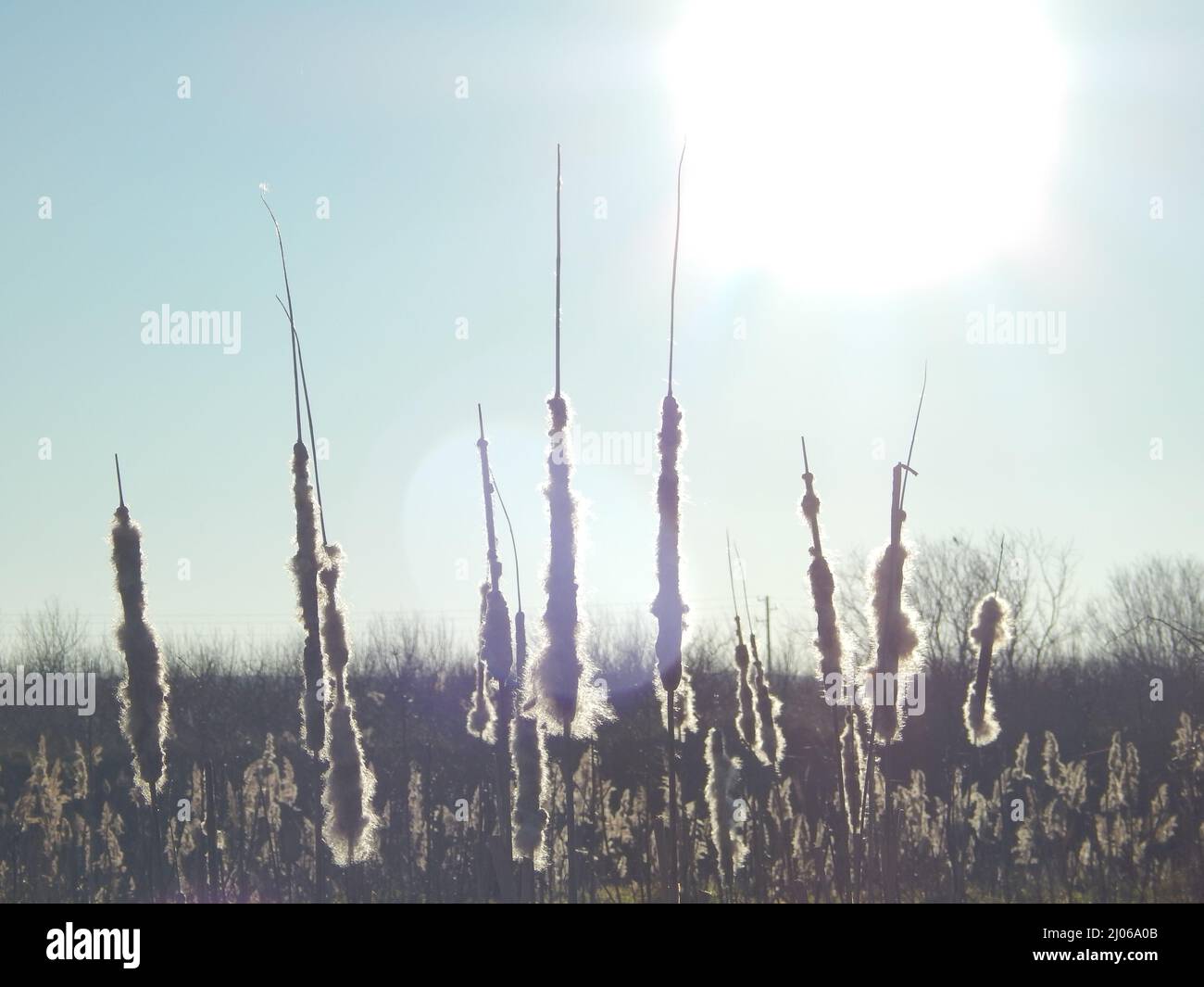 Papyrus village hi-res stock photography and images - Alamy