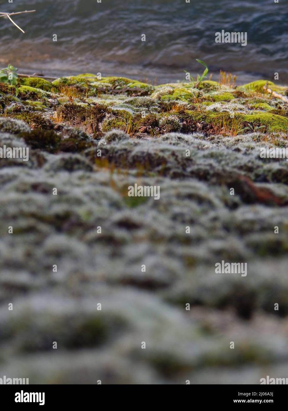 Wet patches hi-res stock photography and images - Alamy