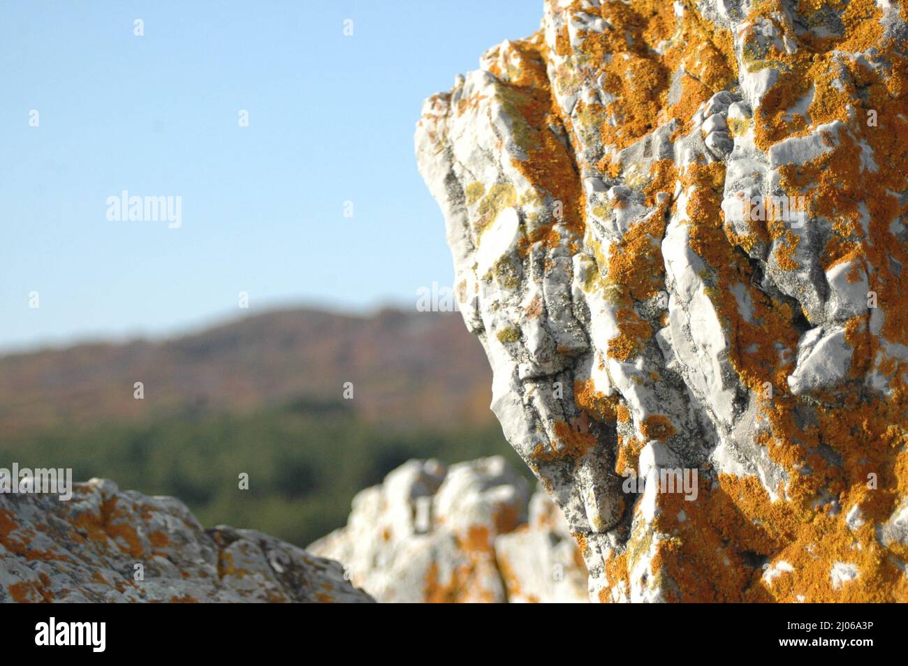 Rock With Orange Dried Moss Stock Photo - Alamy