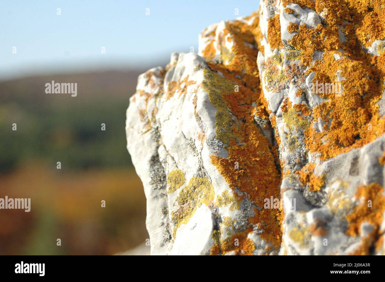 Rock With Orange Dried Moss Stock Photo - Alamy