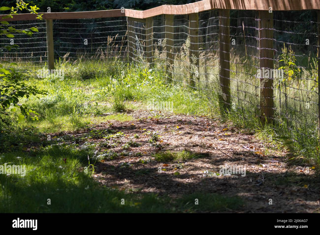 wooden fencing along field path in summer Stock Photo - Alamy