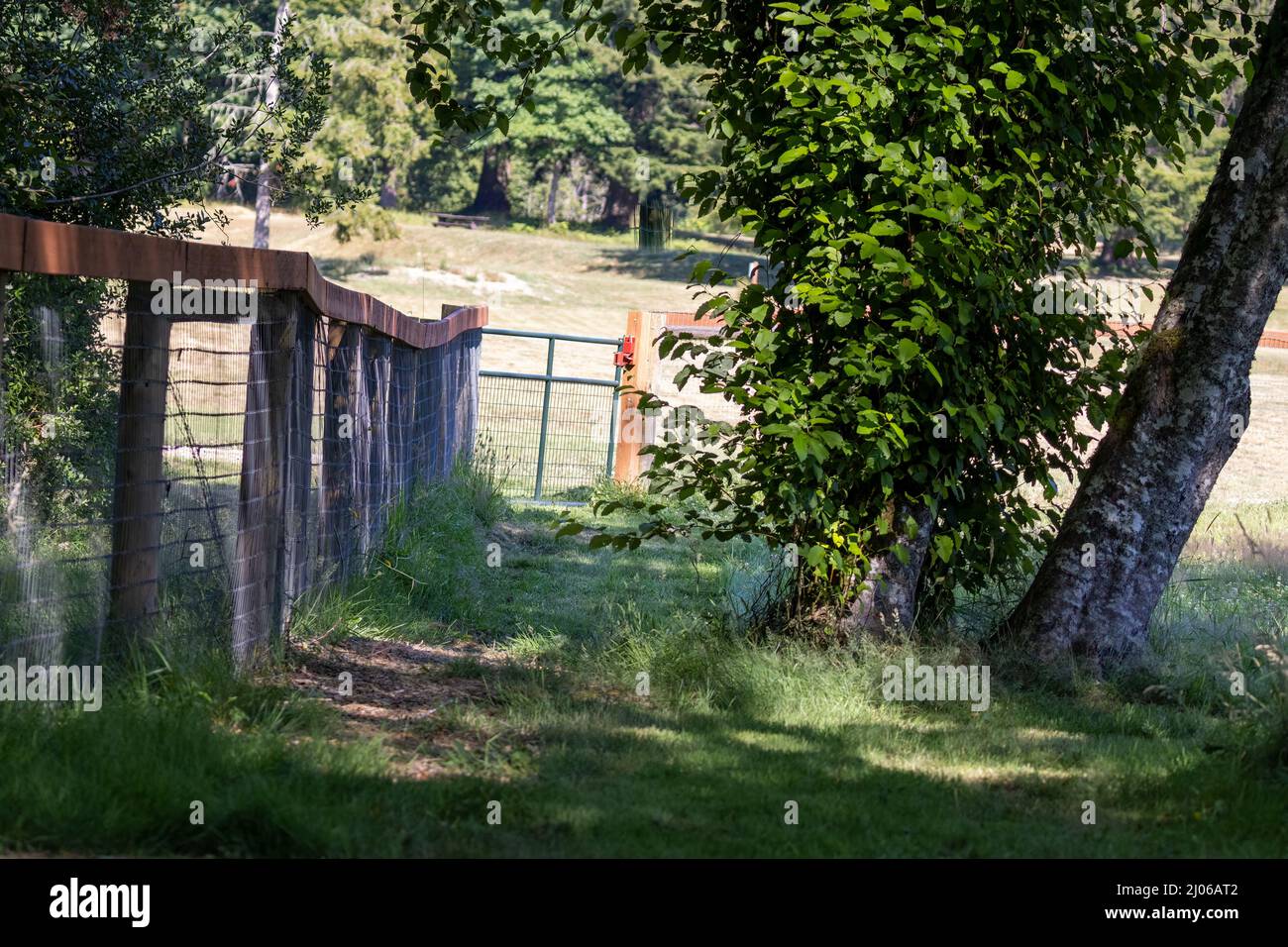 wooden fencing along field path in summer Stock Photo - Alamy