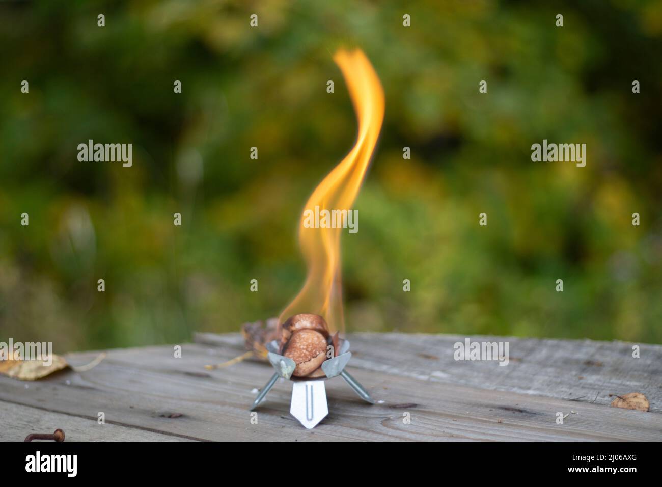 Flames from alcohol. Burning dry alcohol. Object for heating substances ...