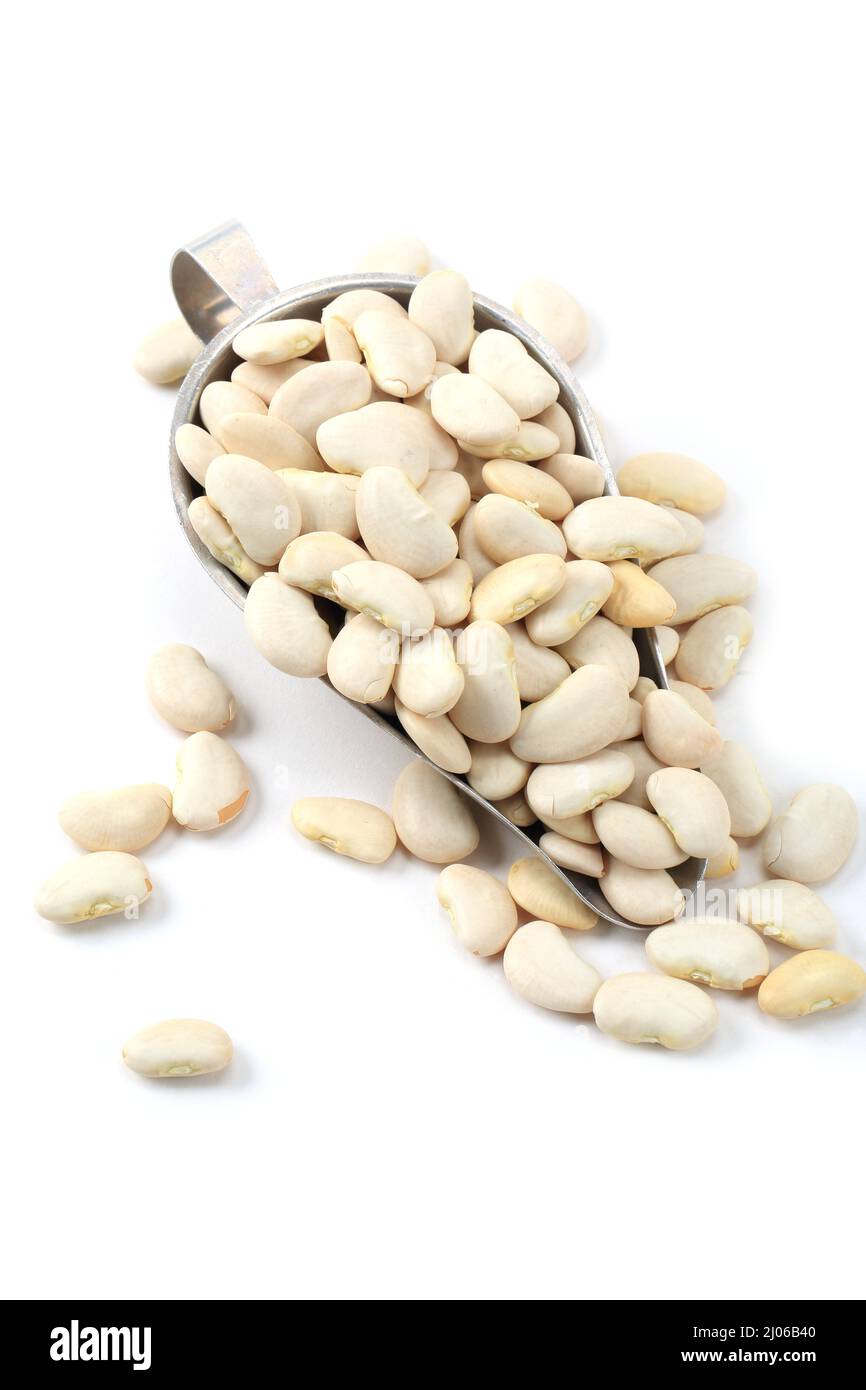 Lima beans on white background Stock Photo - Alamy