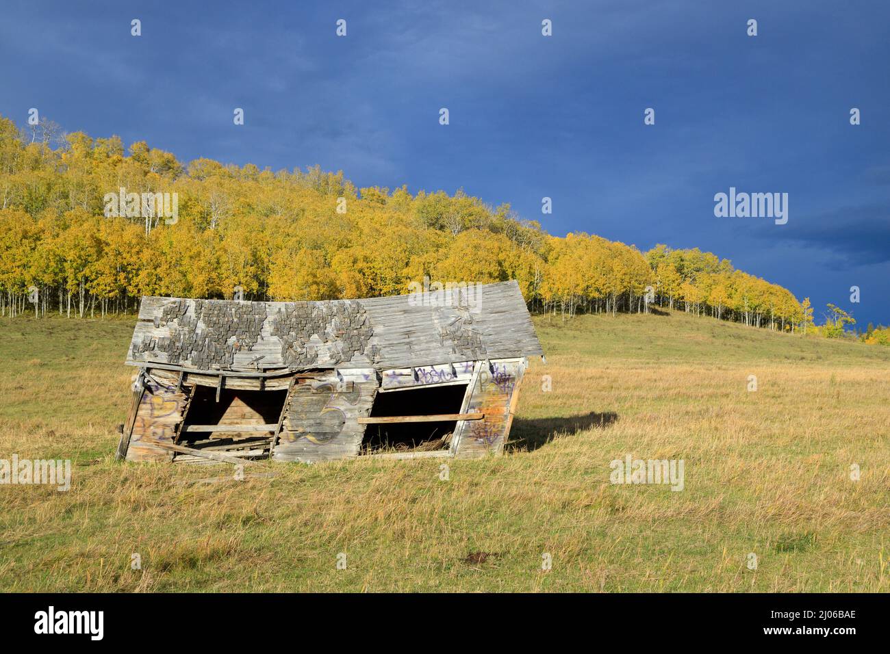 Autumn on the canadian prairie hi-res stock photography and images - Alamy