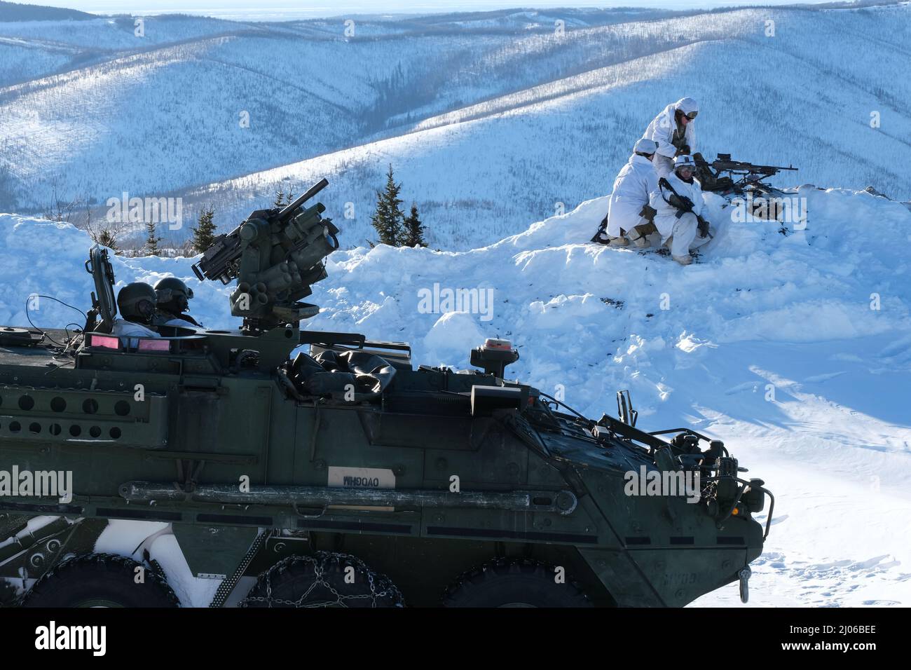 1st Battalion, 5th Infantry Regiment "Bobcats", 1st Brigade, 25th ...