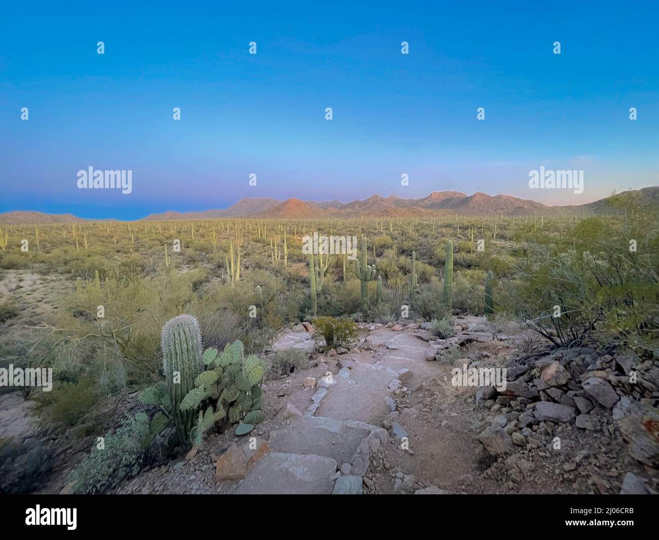 Saguaro National Park West in Tucson Arizona USA, hiking trail Stock ...