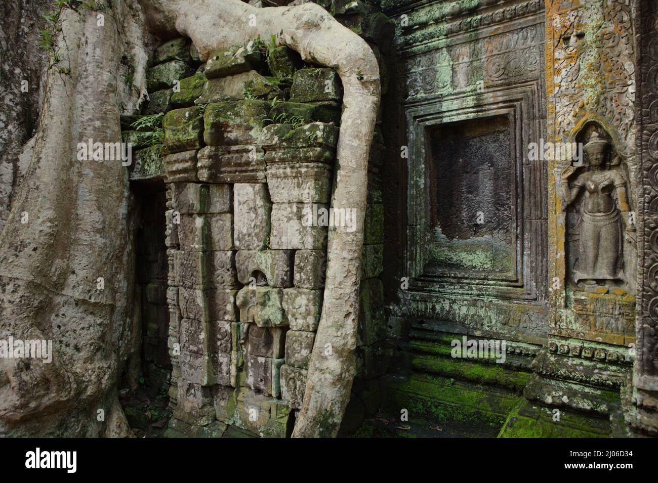 Apsara figure at the wall of Ta Prohm, Siem Reap, Cambodia Stock Photo ...