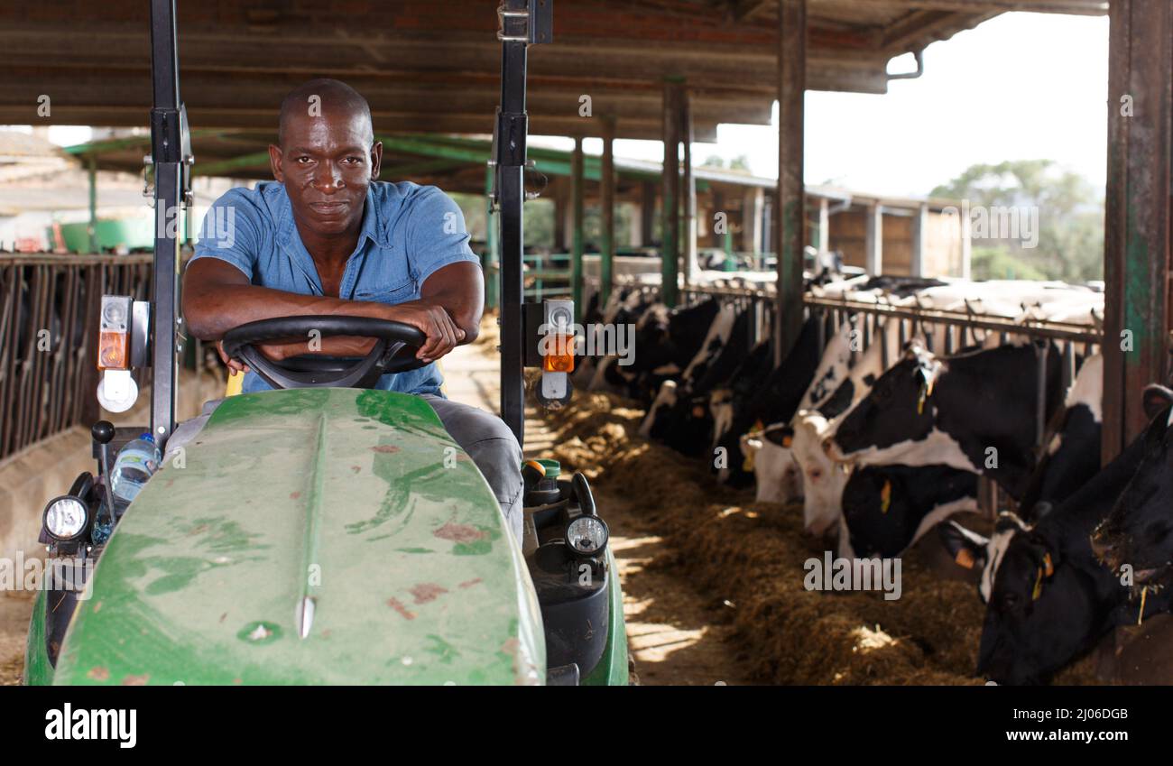 Portrait of African-American male worker sitting in tractor on dairy ...
