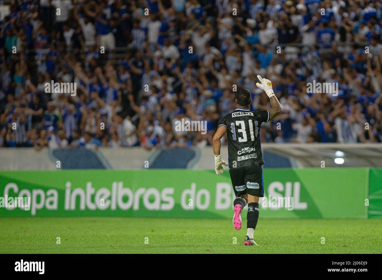 Marcelo Brazil 2022