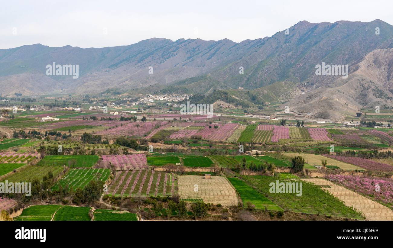 Fruit farms hi-res stock photography and images - Alamy