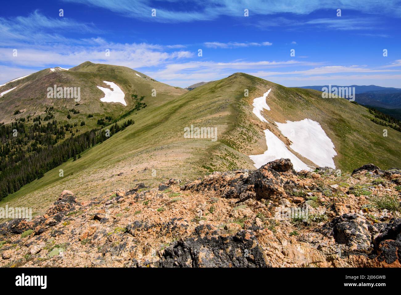 Above treeline hi-res stock photography and images - Alamy