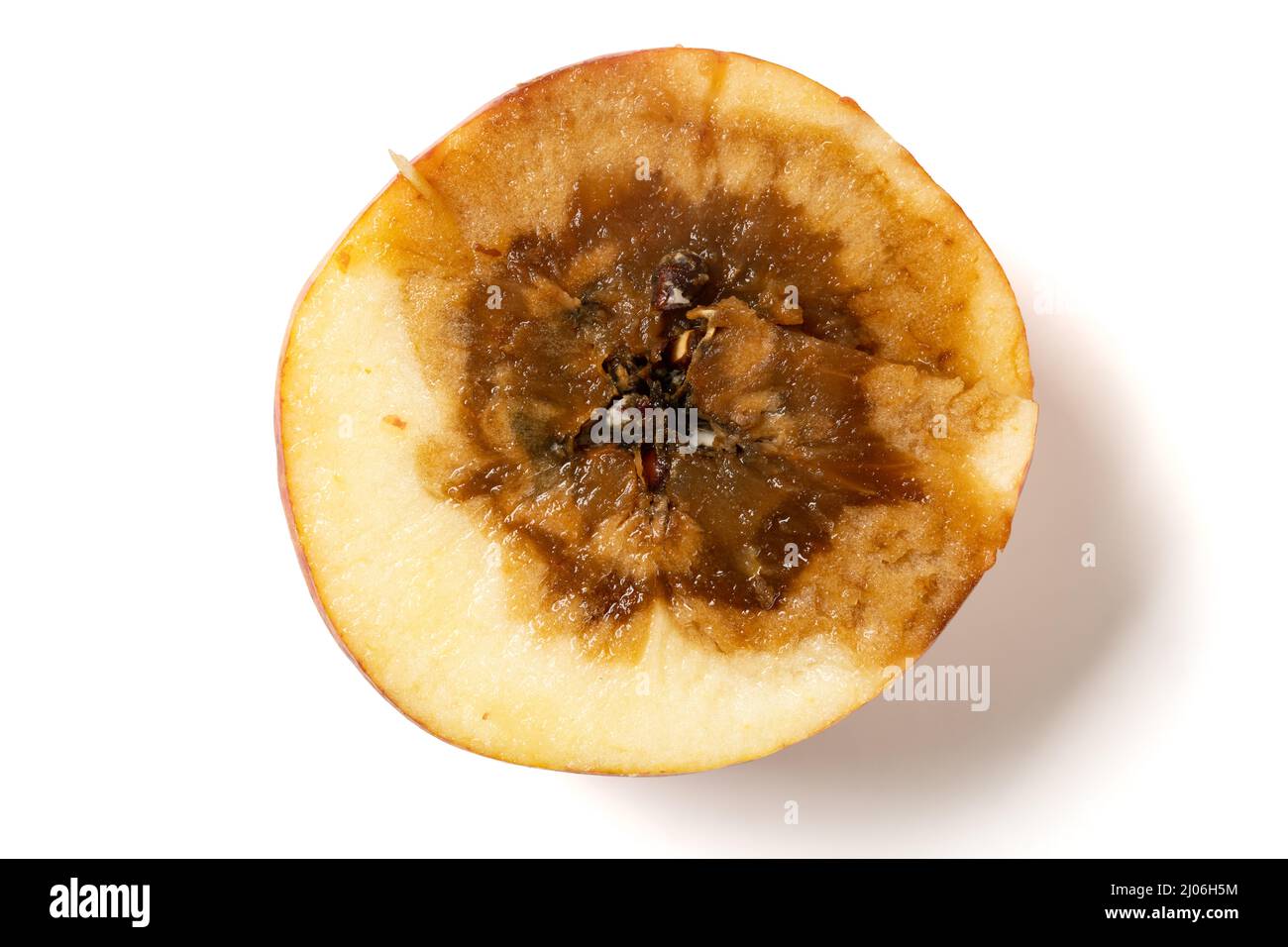 top view overripe apple with badly rotten core on white background ...