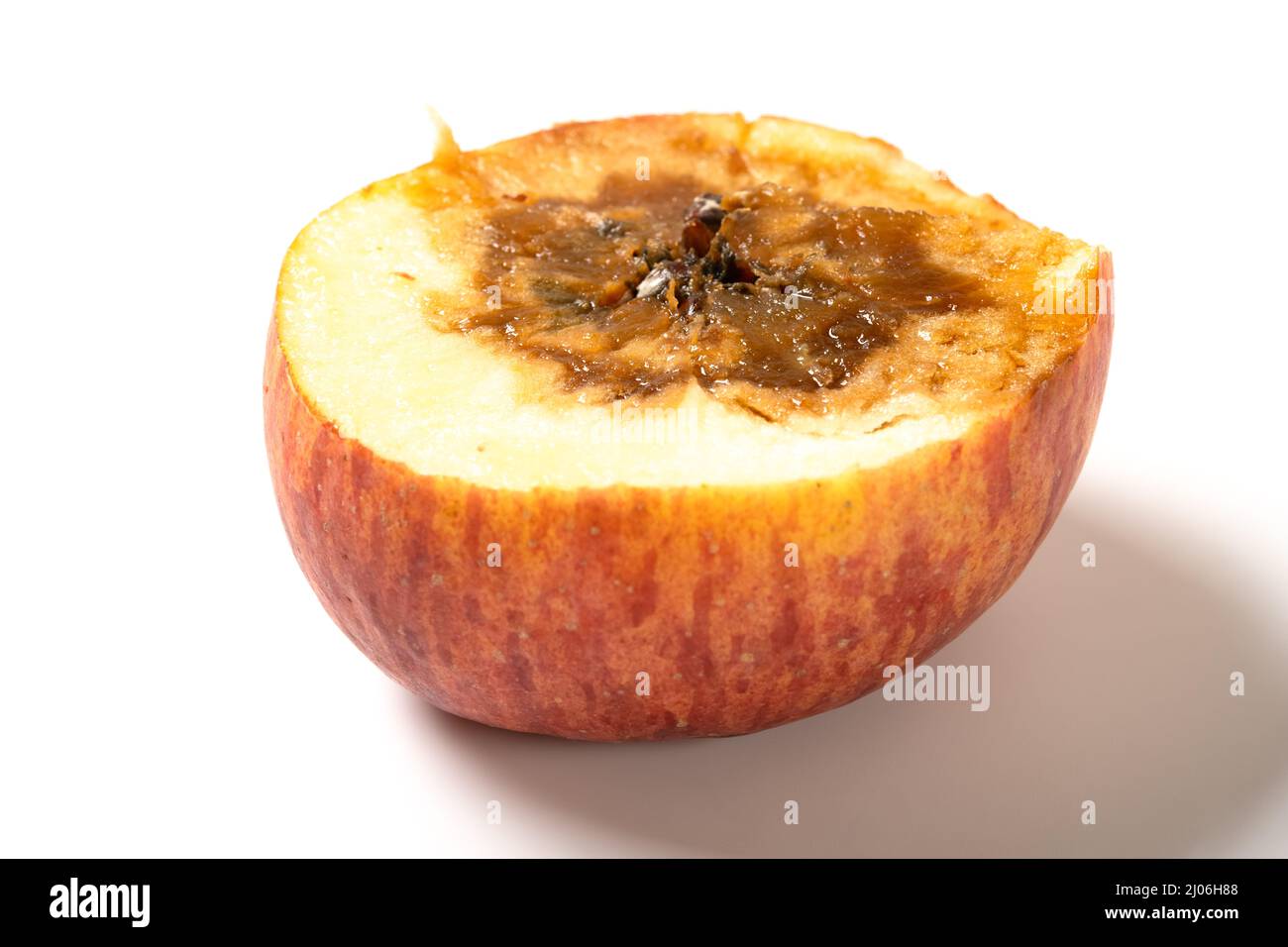 Apple with rotten core hi-res stock photography and images - Alamy