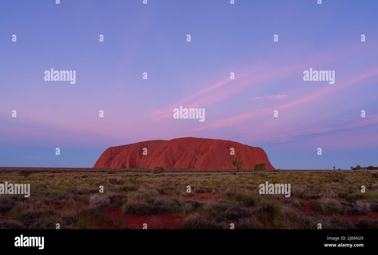 YULARA, AUSTRALIA - JUNE 7 2021: a post sunset wide angle view of uluru ...