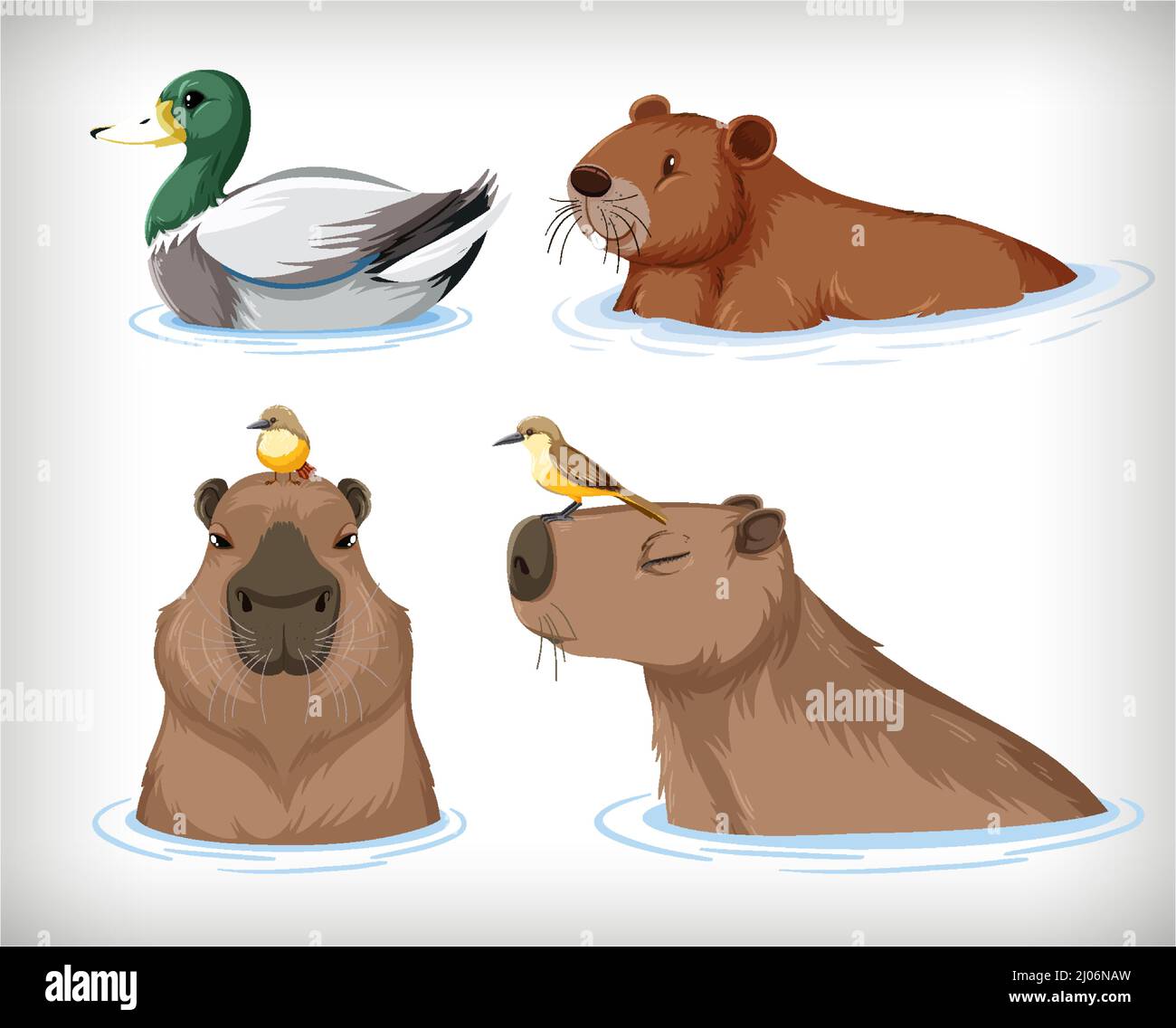 Set of different capybara in cartoon style illustration Stock Vector ...