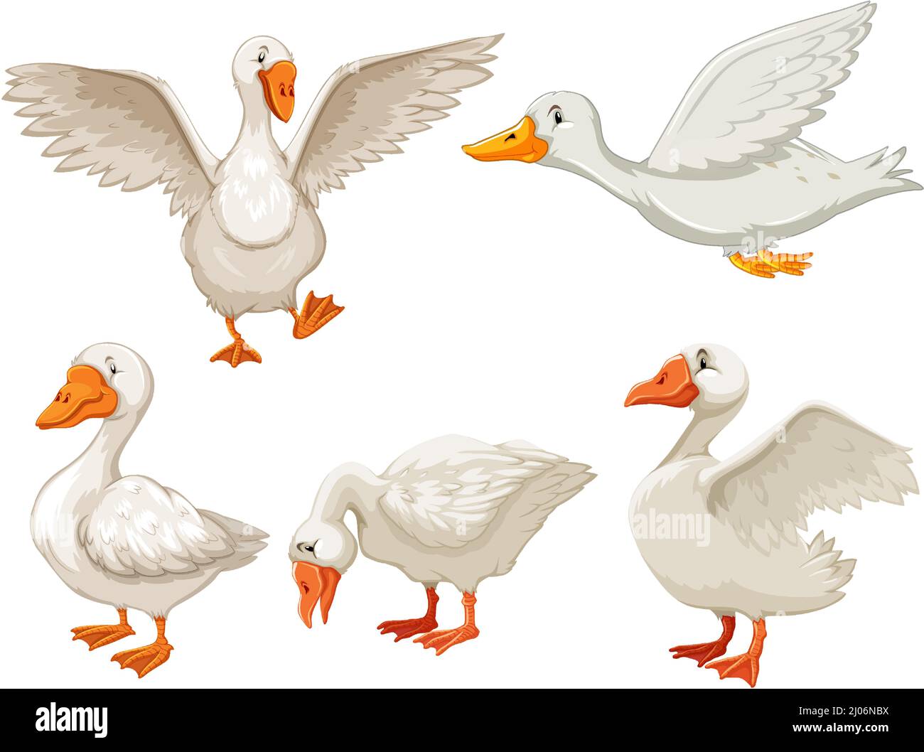 Set of different ducks in cartoon style illustration Stock Vector Image ...