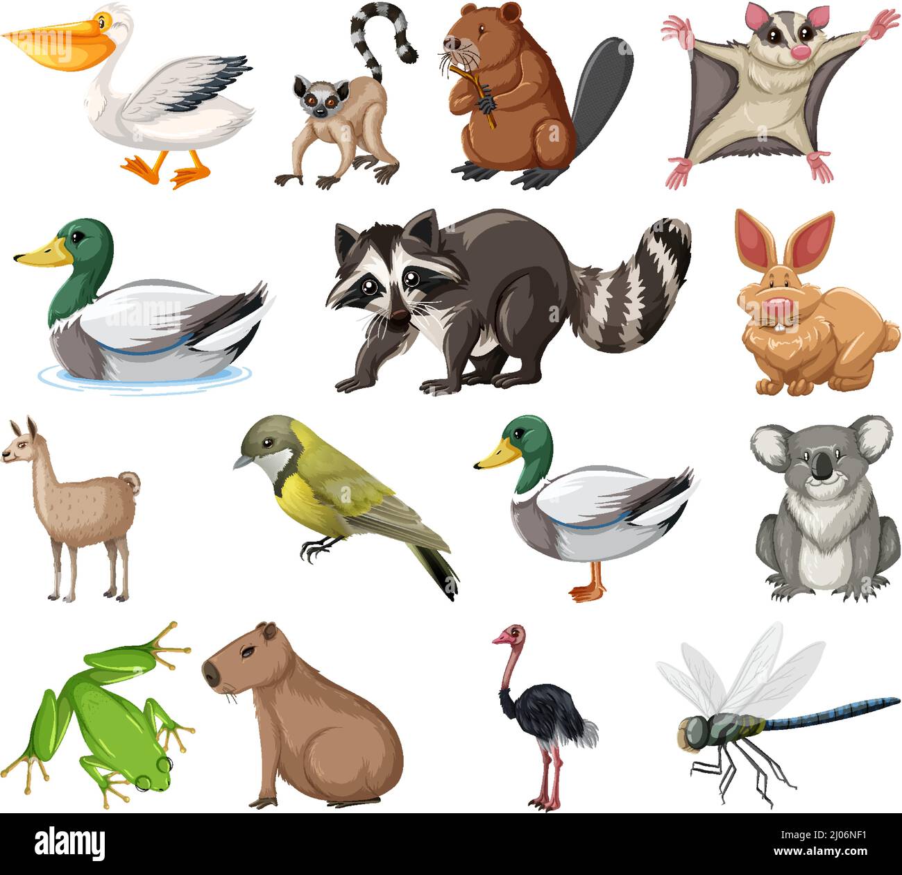 Different kinds of animals collection illustration Stock Vector Image ...