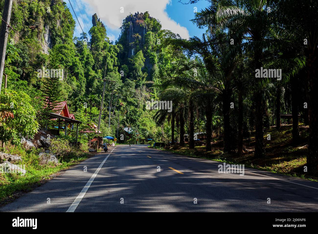 Asphalt road through spring hi-res stock photography and images - Alamy