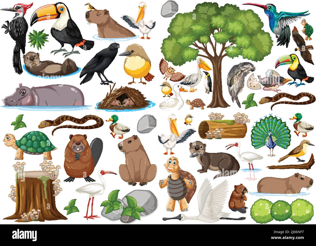 Different kinds of wild animals collection illustration Stock Vector ...