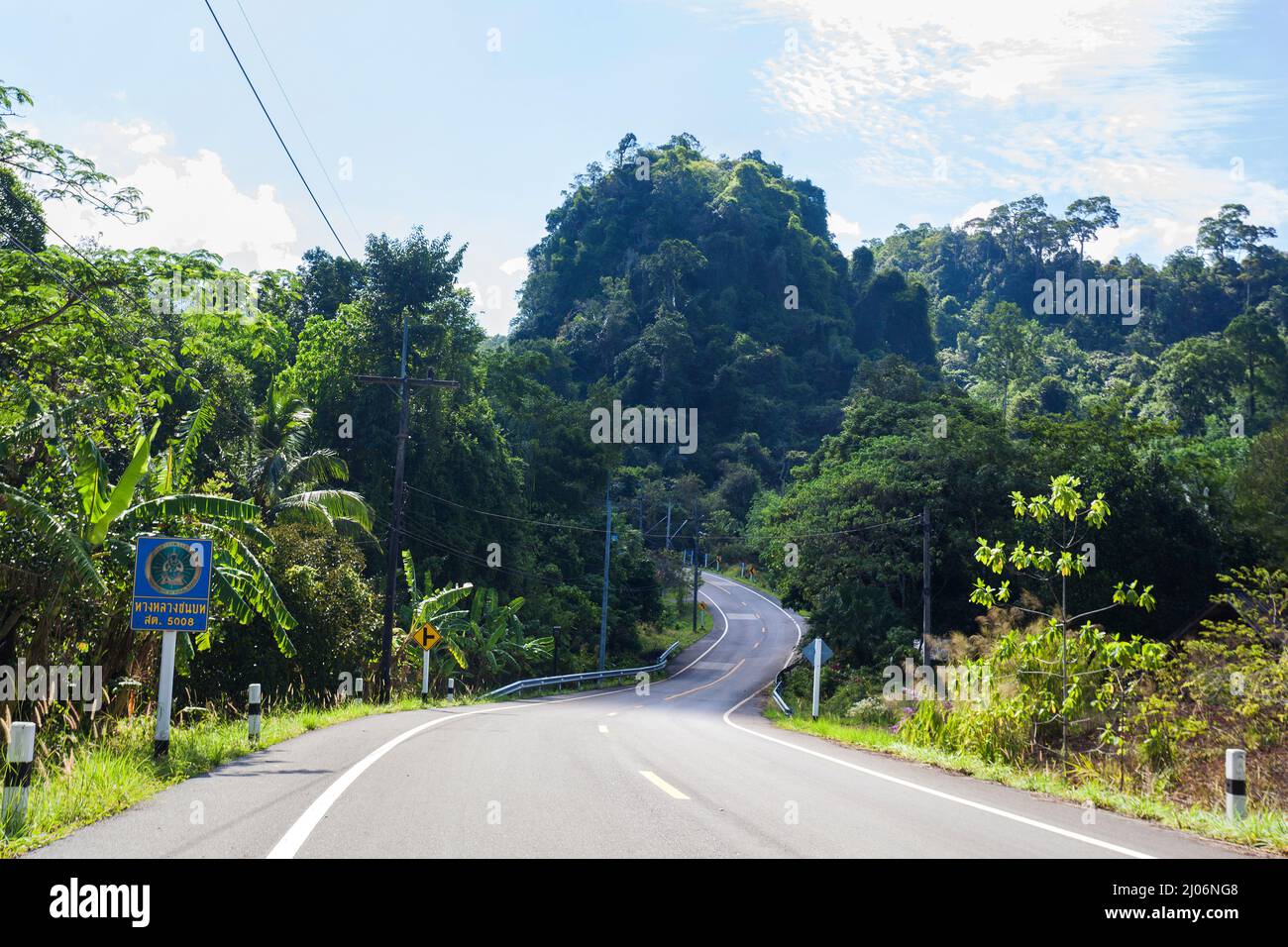 Asphalt road through forest Stock Photo - Alamy