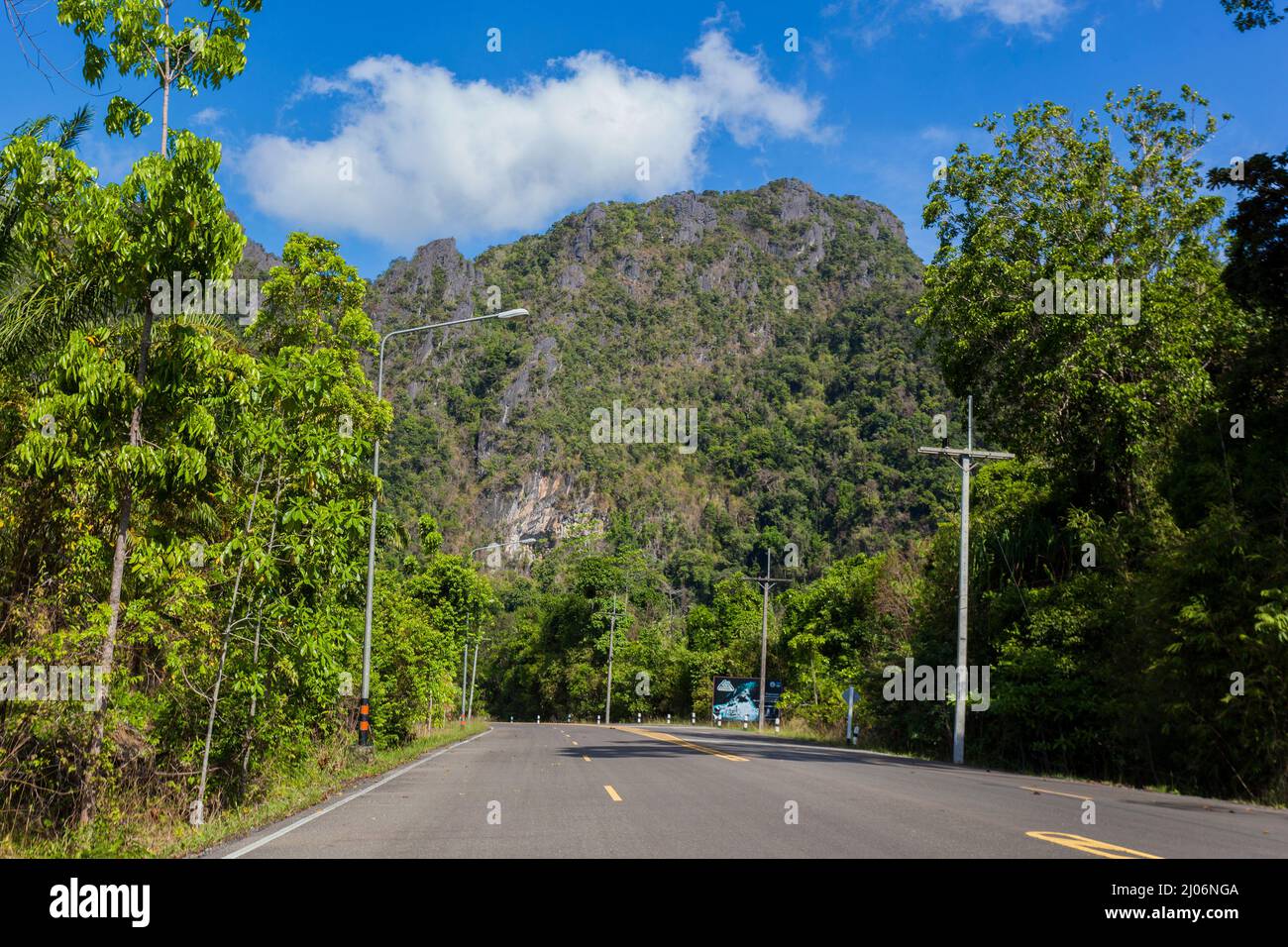 Asphalt road through forest Stock Photo - Alamy