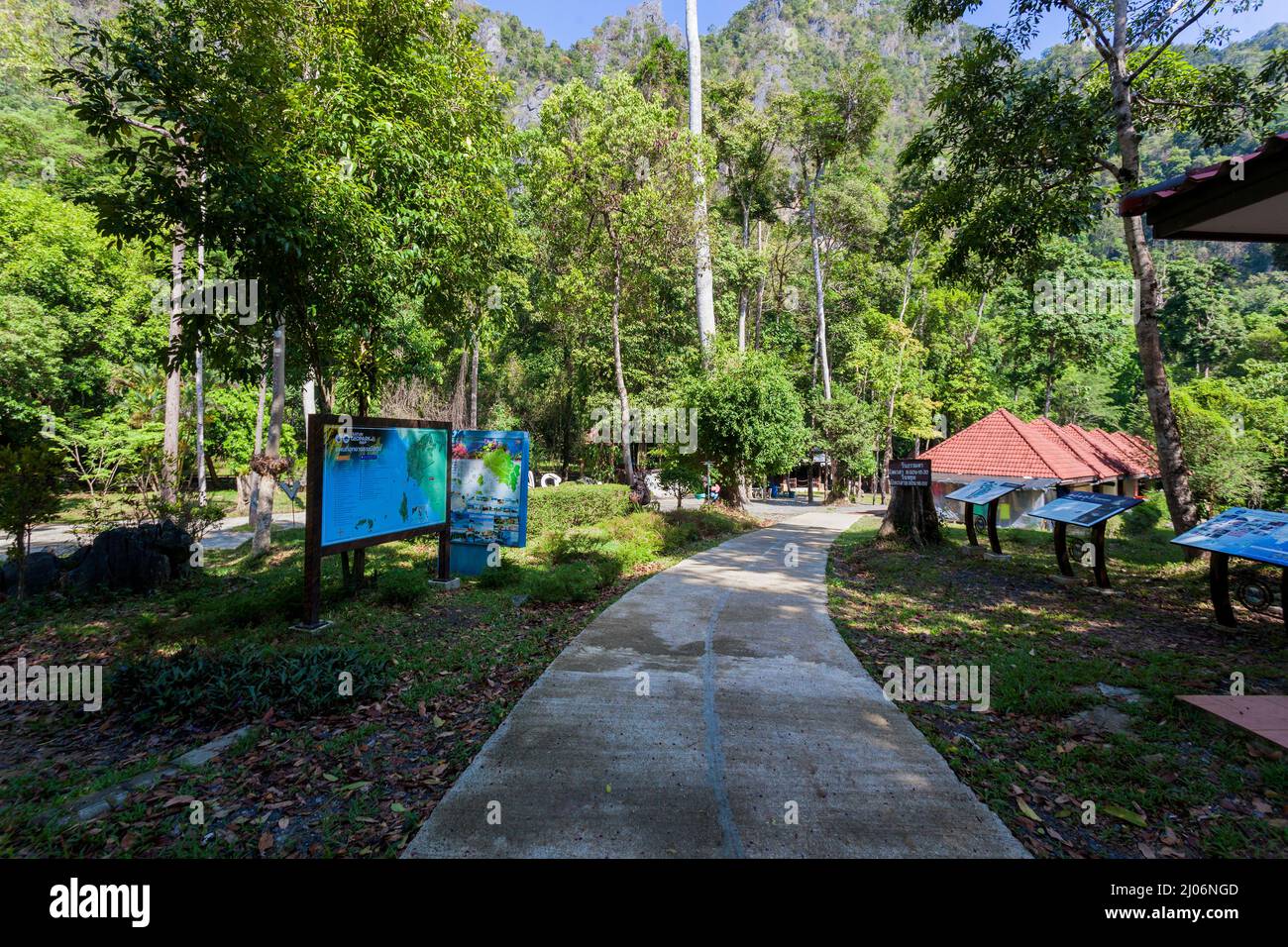 Cement walking path in forest Stock Photo - Alamy