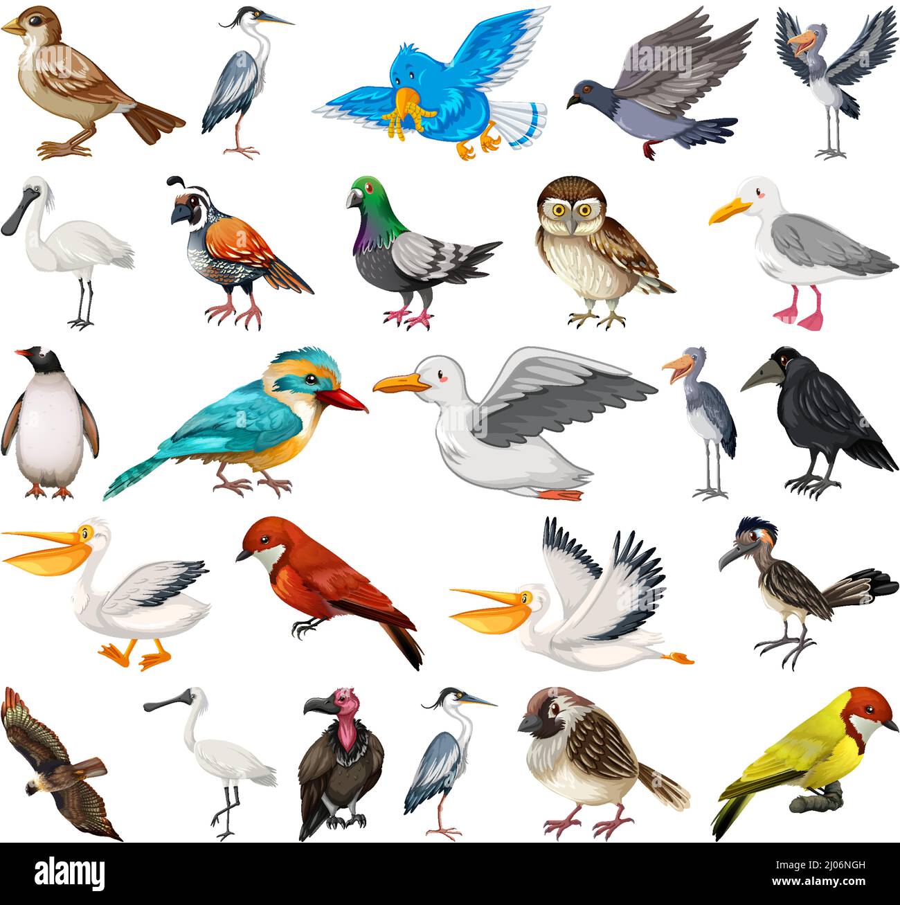 Different kinds of birds collection illustration Stock Vector Image ...