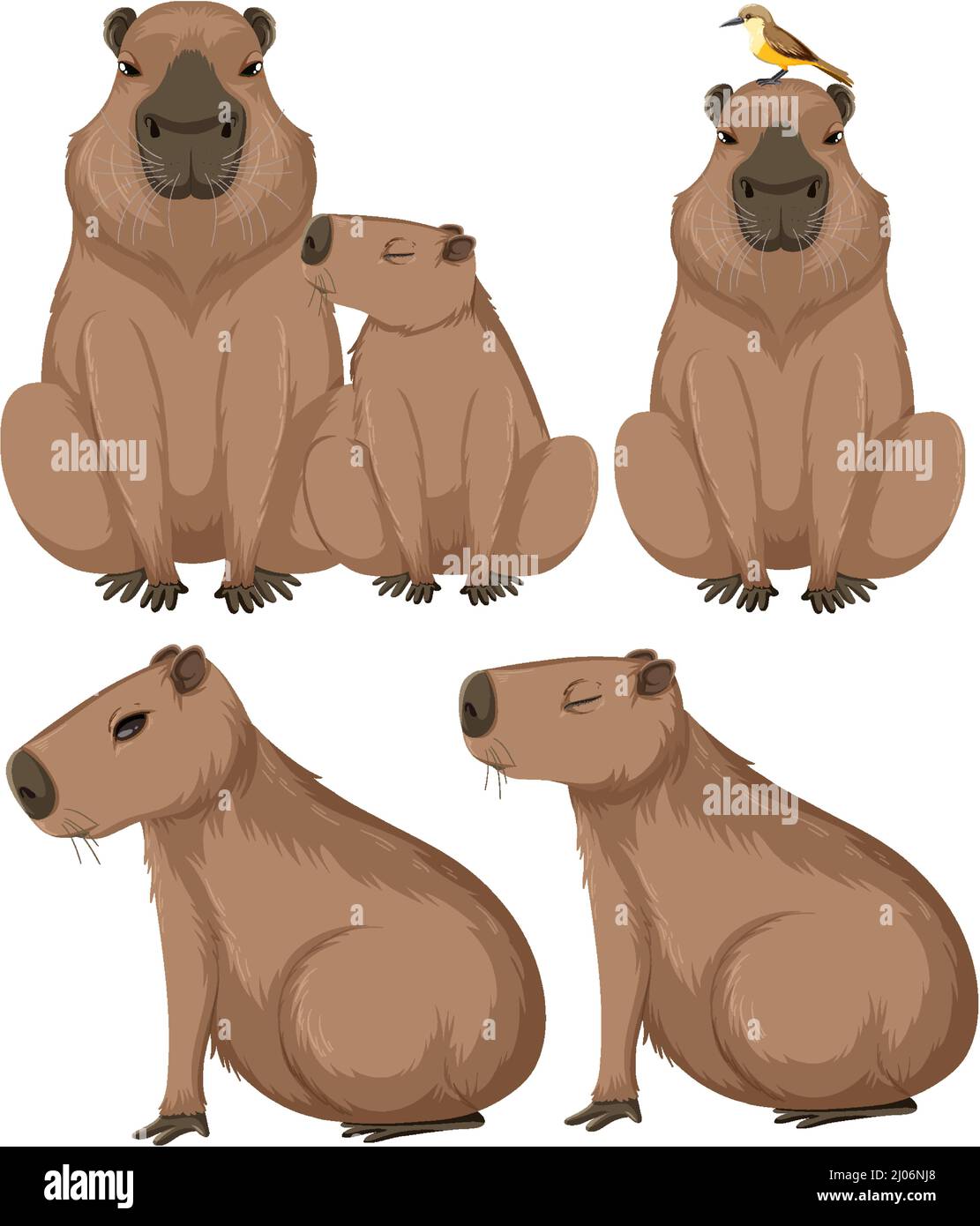 Set of different capybara in cartoon style illustration Stock Vector ...